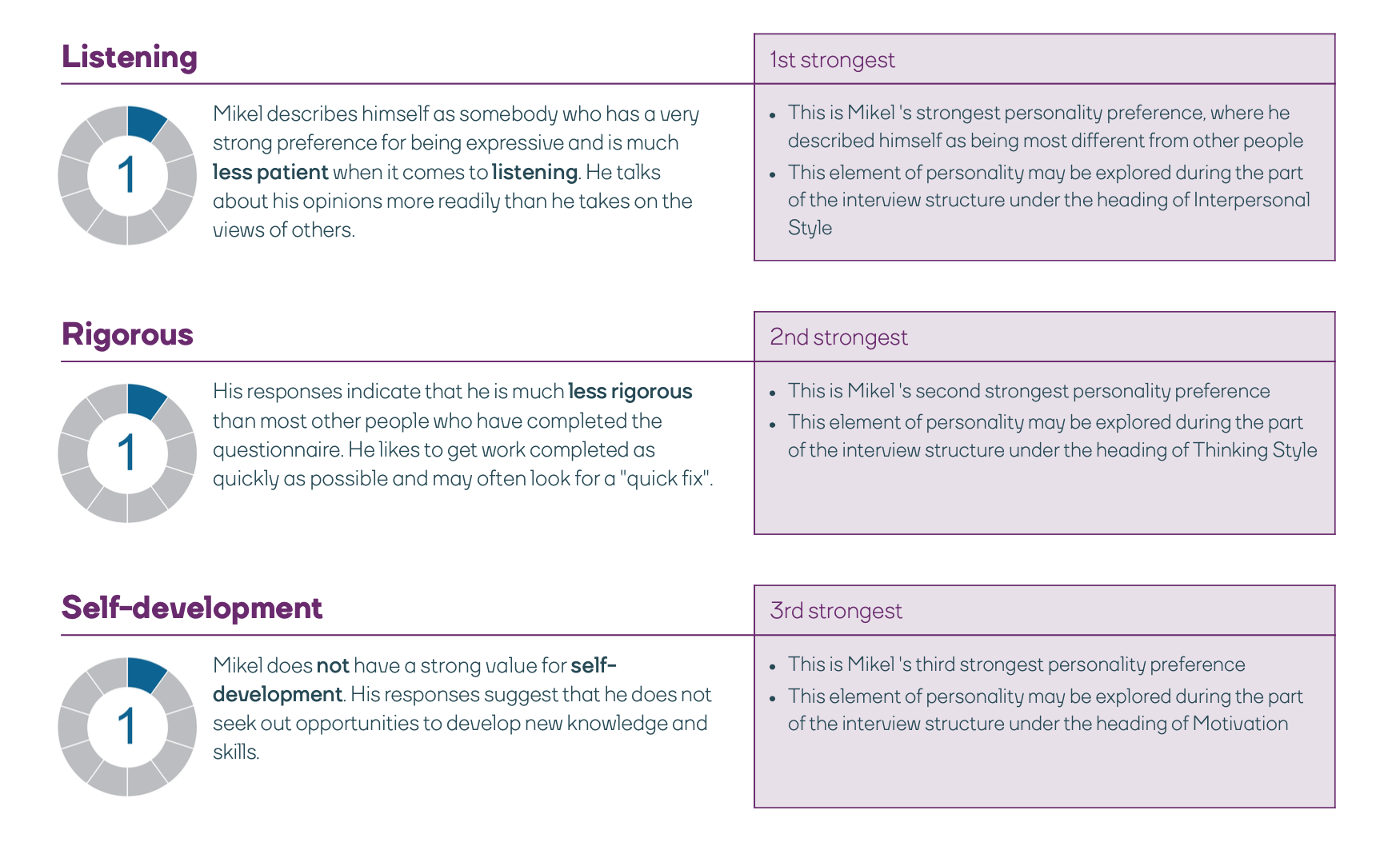 Interview Assessment Sample Report